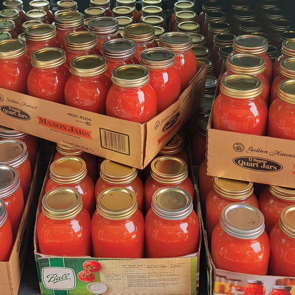 Ripley Power and Light Company